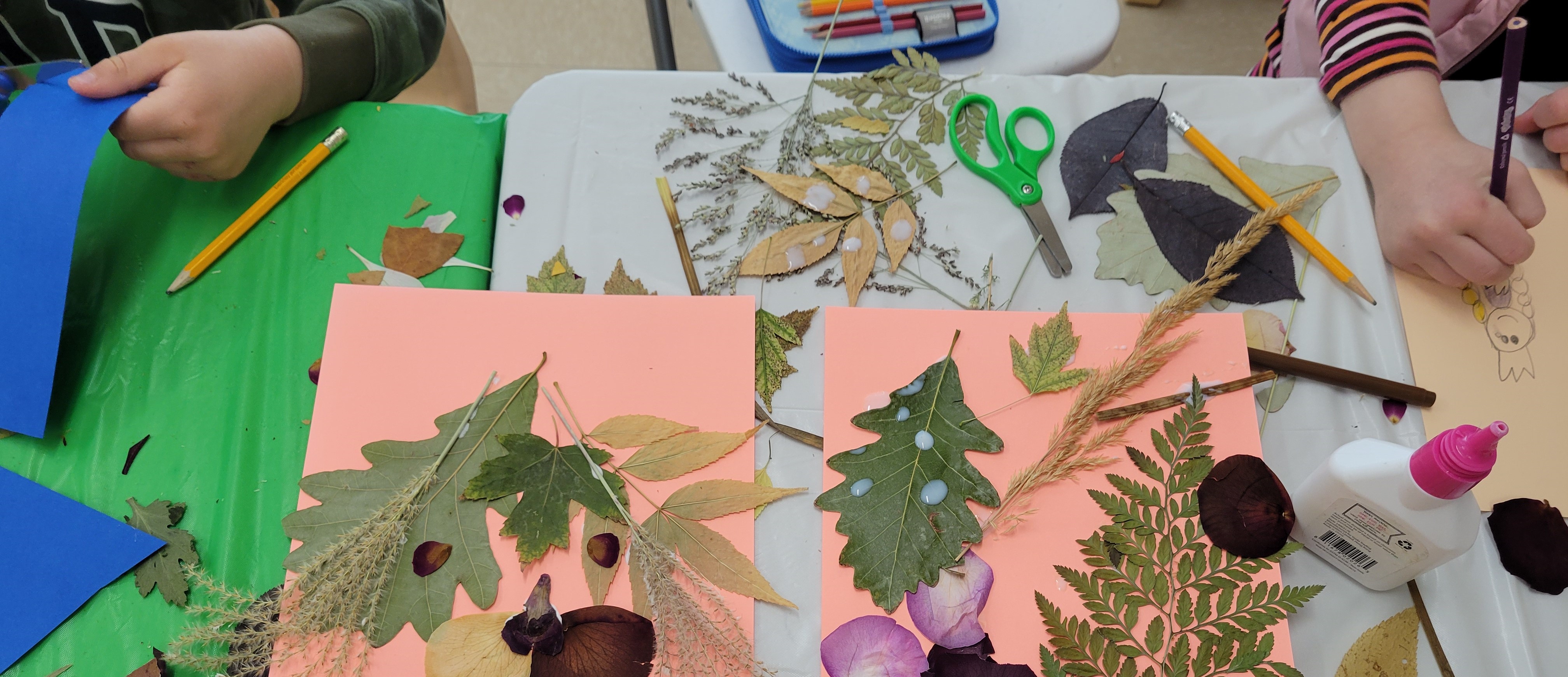 Colorado Russian Center | Boulder, Denver, Fort Collins